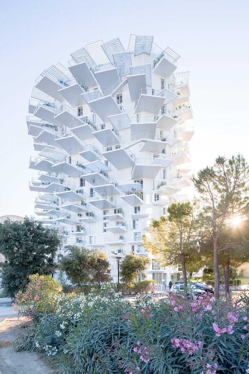 El mundo de Sou Fujimoto. Primitivo y futuro - ROOM Diseño
