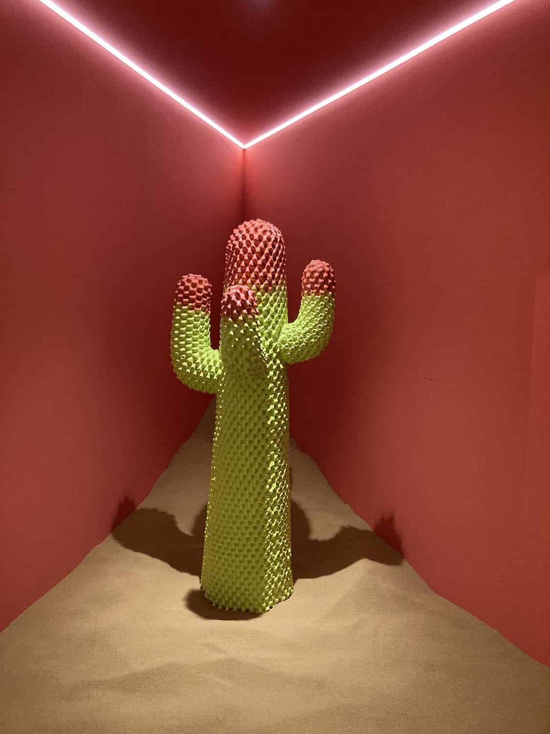 50 años de CACTUS® Gufram. Milan Design Week 2022