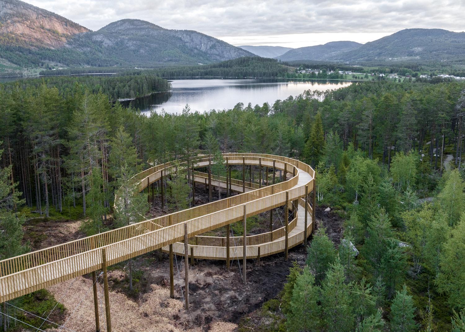 Treetop Walkway Una Pasarela De Madera Entre Los rboles