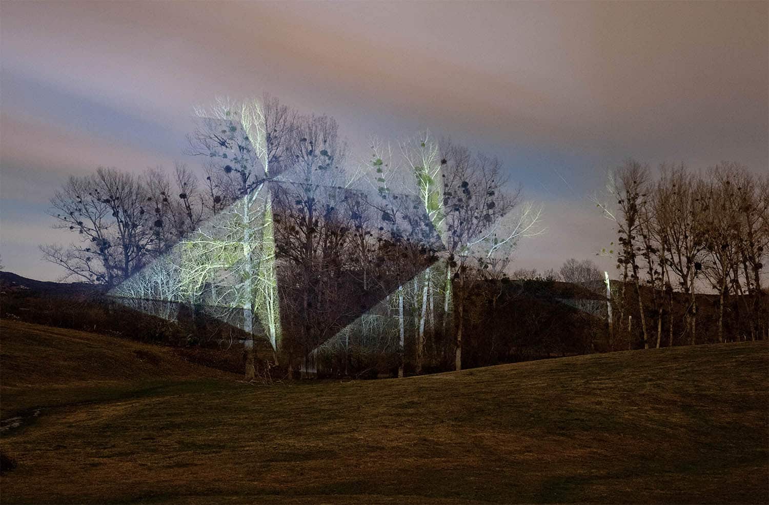 © Javier Riera - ROOM Diseño