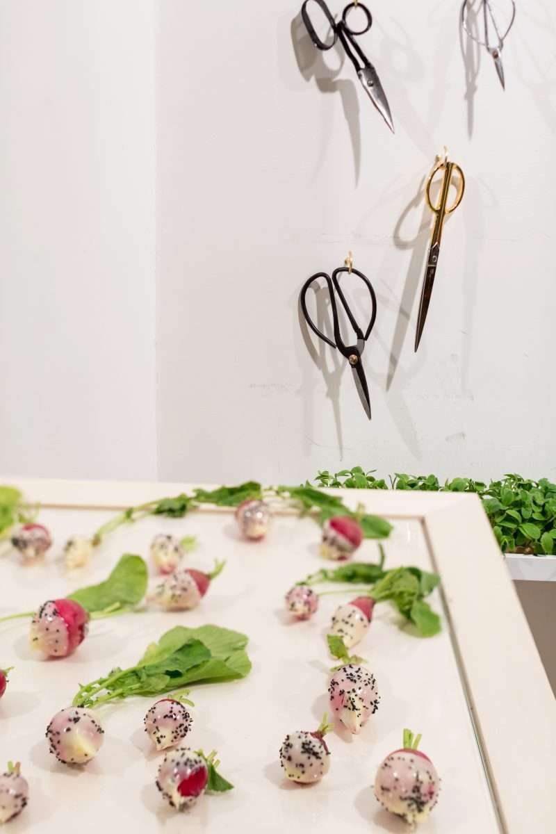 Laila Gohar. El food design como disciplina de las Bellas Artes