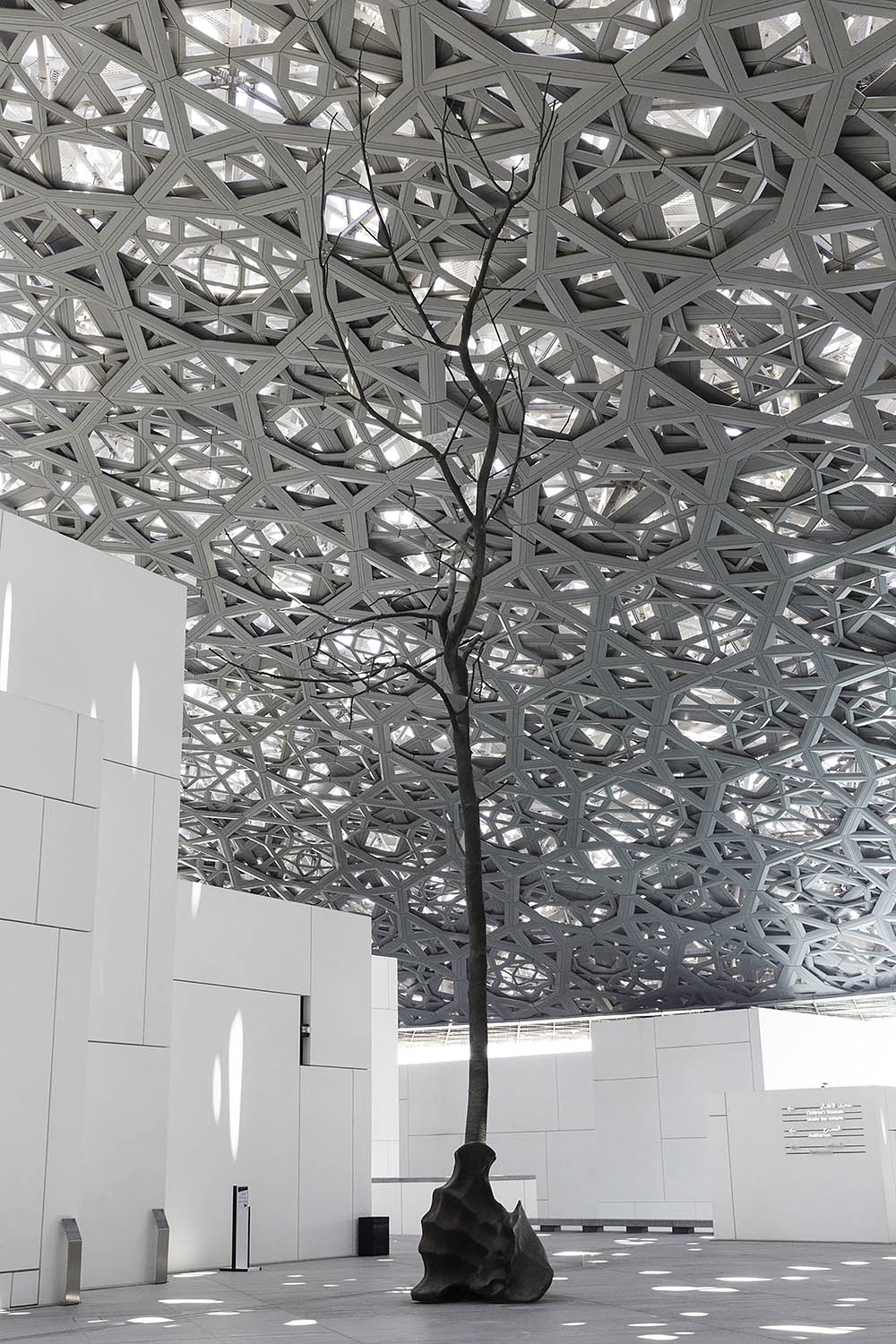 Arte y naturaleza. Viaje al centro de los árboles