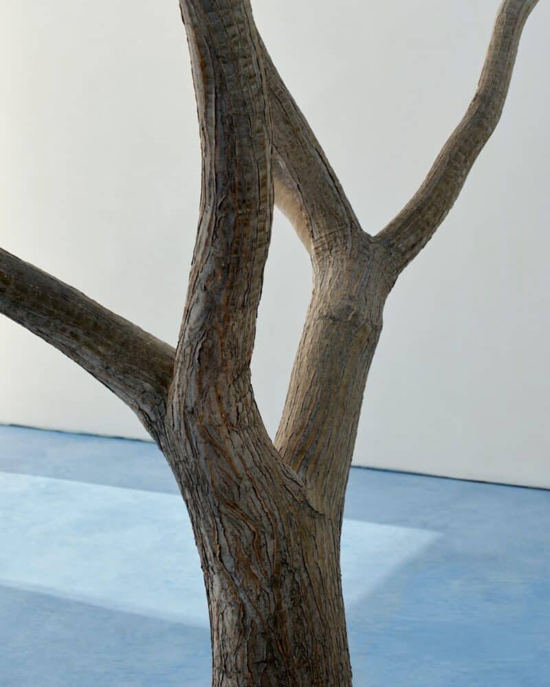 Playlab Inc crea la nueva tienda de Madhappy