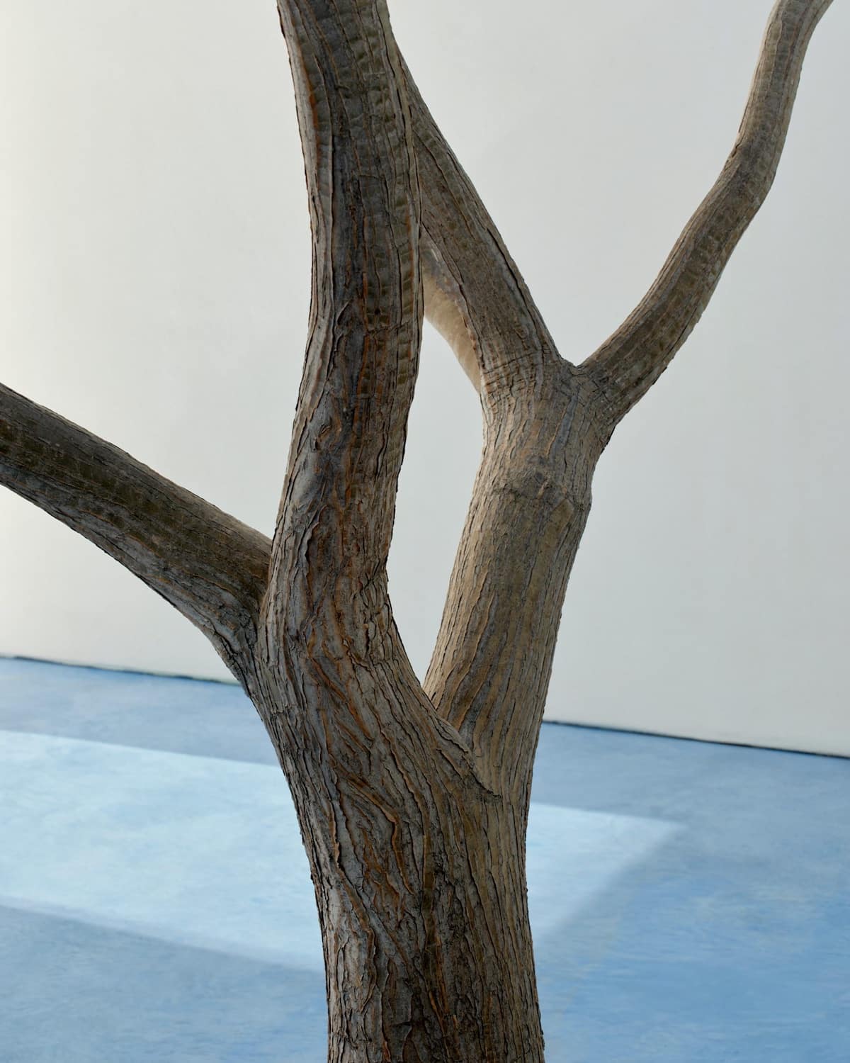 Playlab Inc crea la nueva tienda de Madhappy