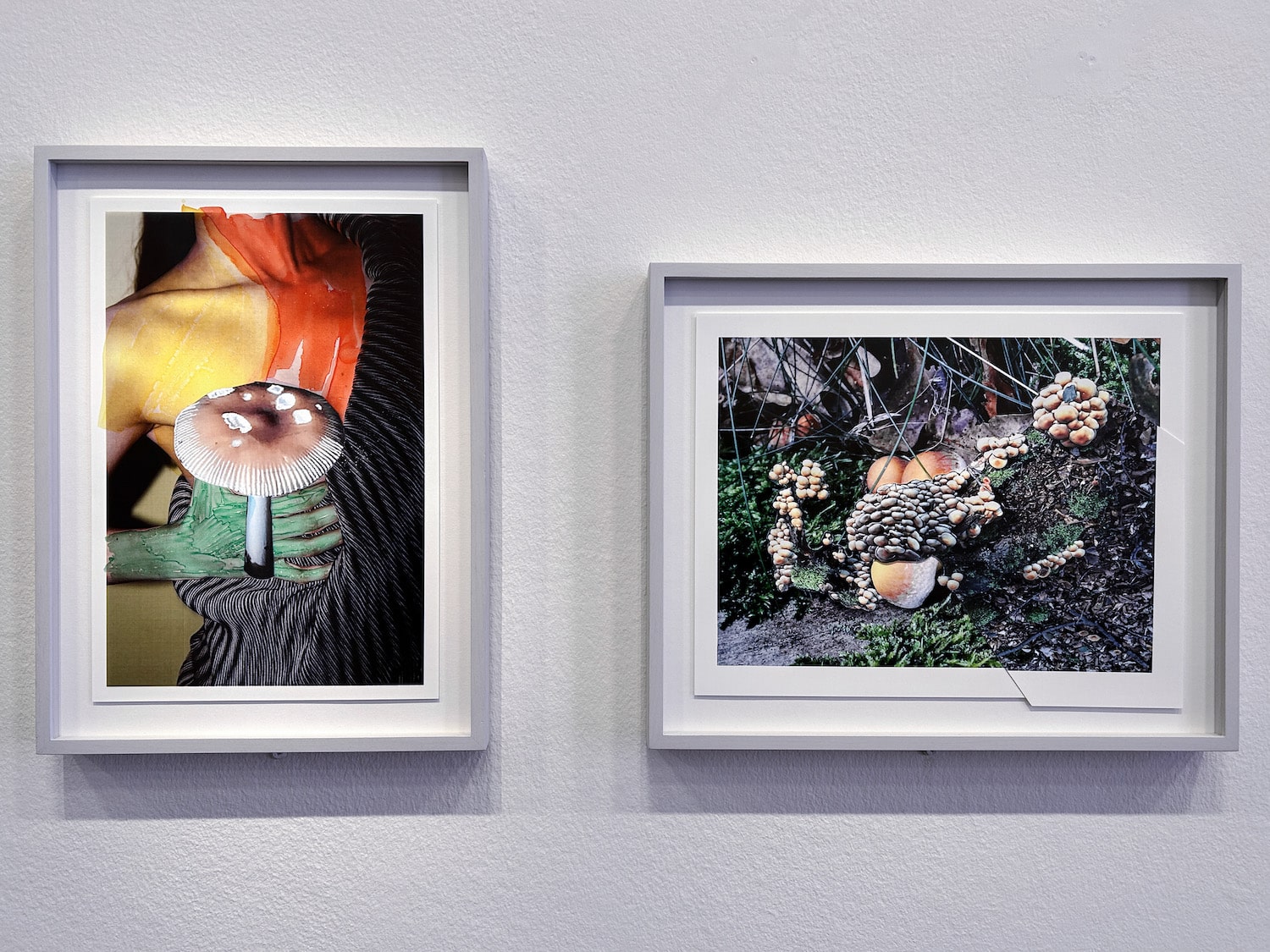 Viviane Sassen despliega su ingenio en el MEP de París