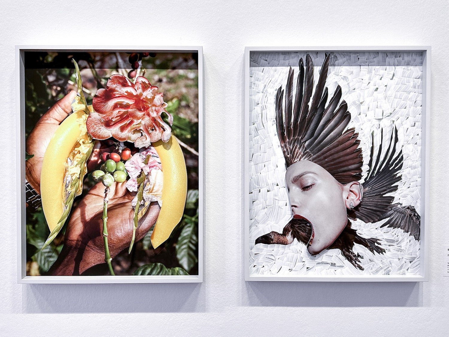 Viviane Sassen despliega su ingenio en el MEP de París